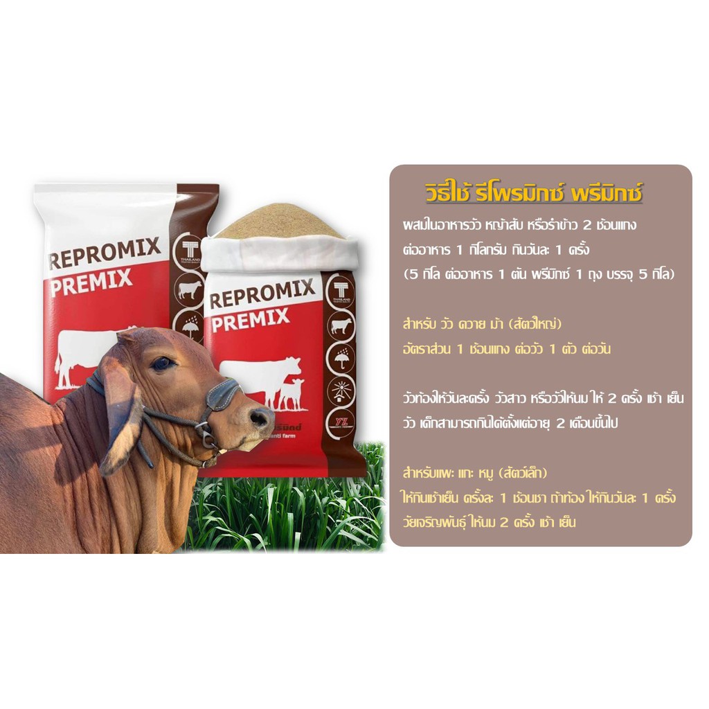 รีโพรมิก พรีมิกซ์ Repromix สารเสริมเพื่อบำรุงระบบสืบพันธุ์ เสริมวิตามิน ...