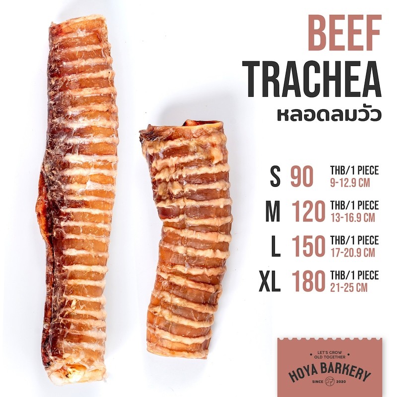 Hoya Barkery Cow Trachea หลอดลมวัว ขนมสุนัข | Lazada.co.th
