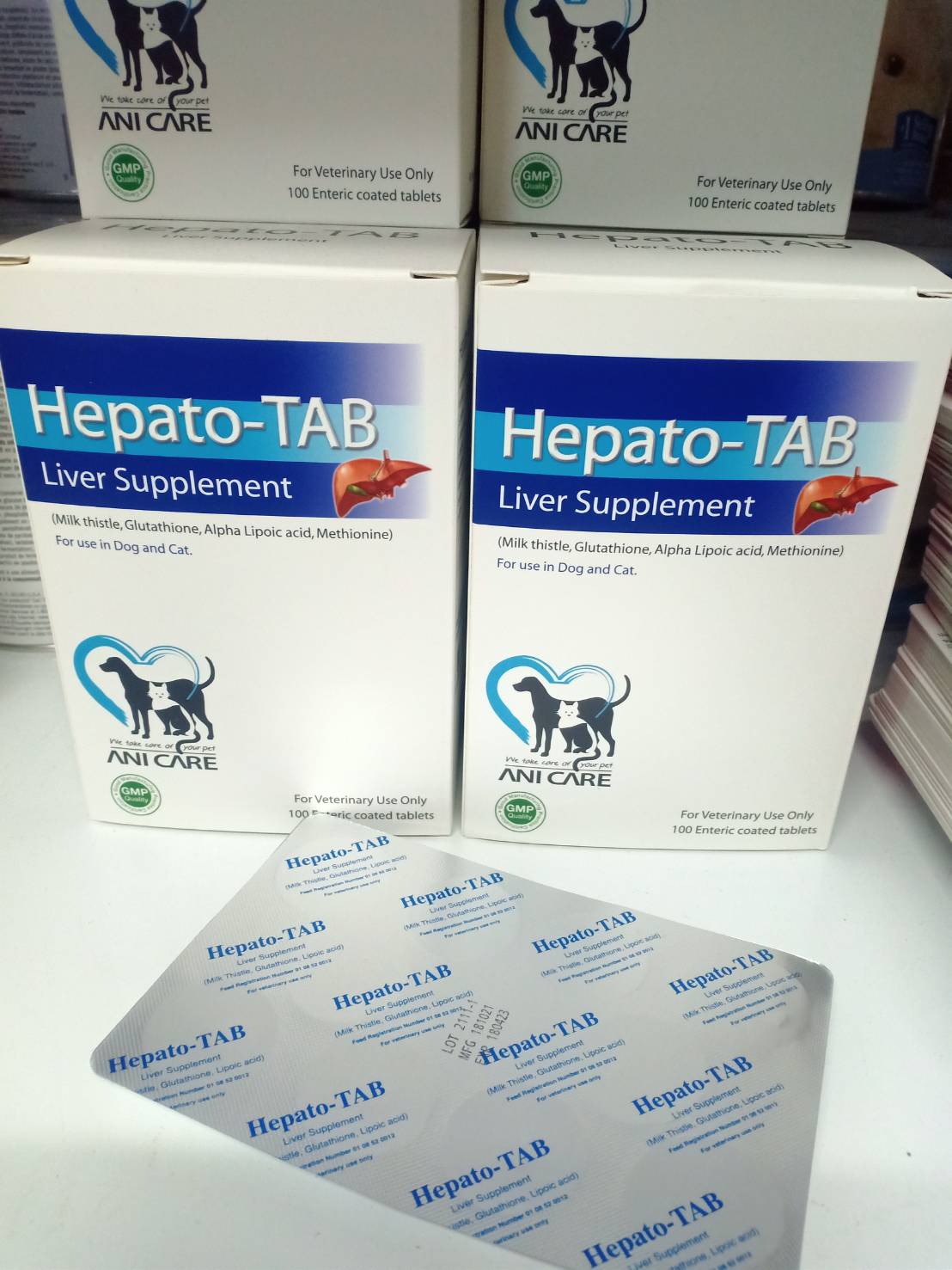 (แบ่งขาย) 1 แผง Hepato-Tab อาหารเสริมบำรุงตับ เสริมการทำงานของตับ สุนัข ...