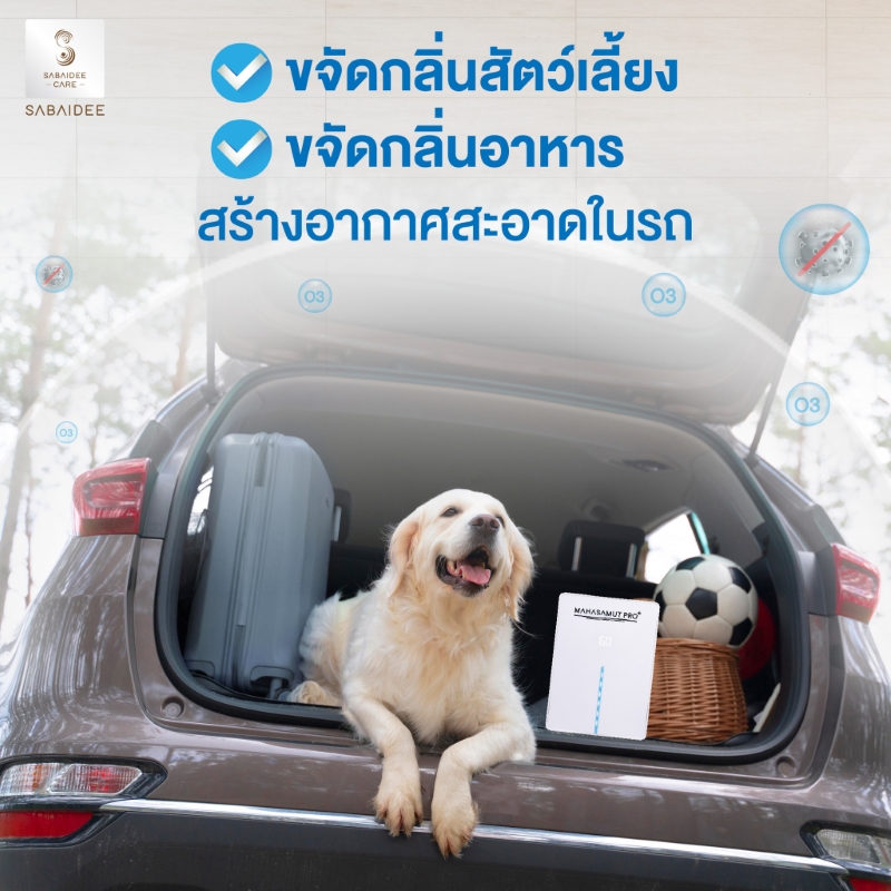 Sabaidee Care เครื่องผลิตโอโซน รุ่น MAHASAMUT PRO - SCG Home - ThaiPick