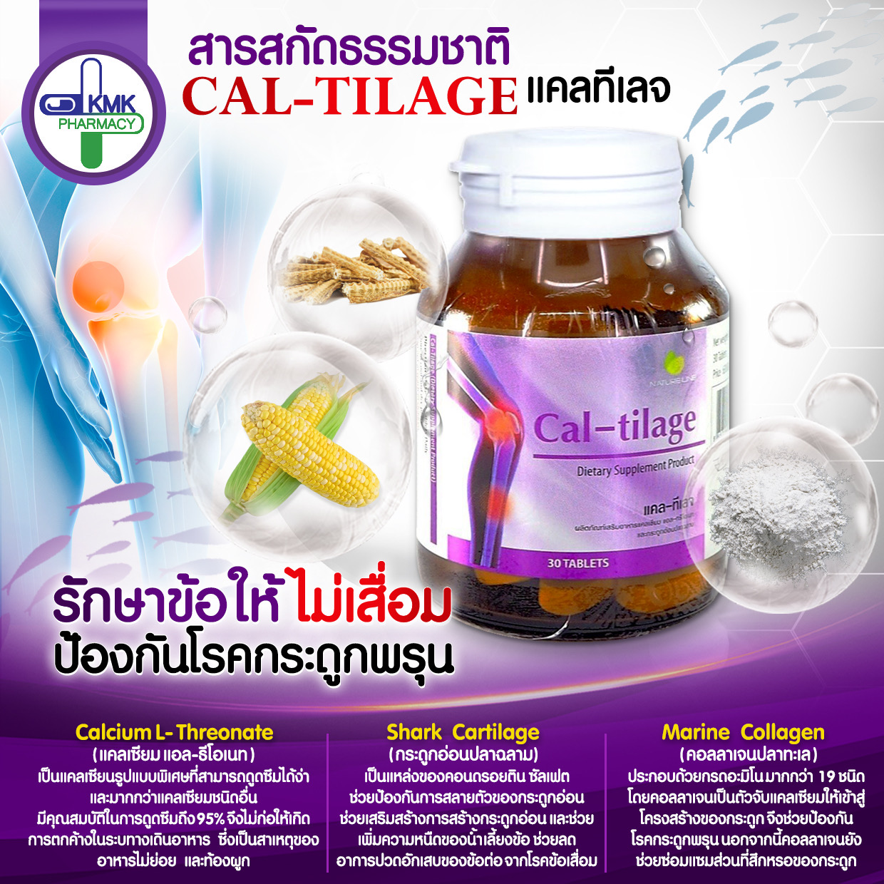 Cal-tilage 60 เม็ด เสริมข้อและกระดูก คอลลาเจน ข้อเข่าเสื่อม | Lazada.co.th