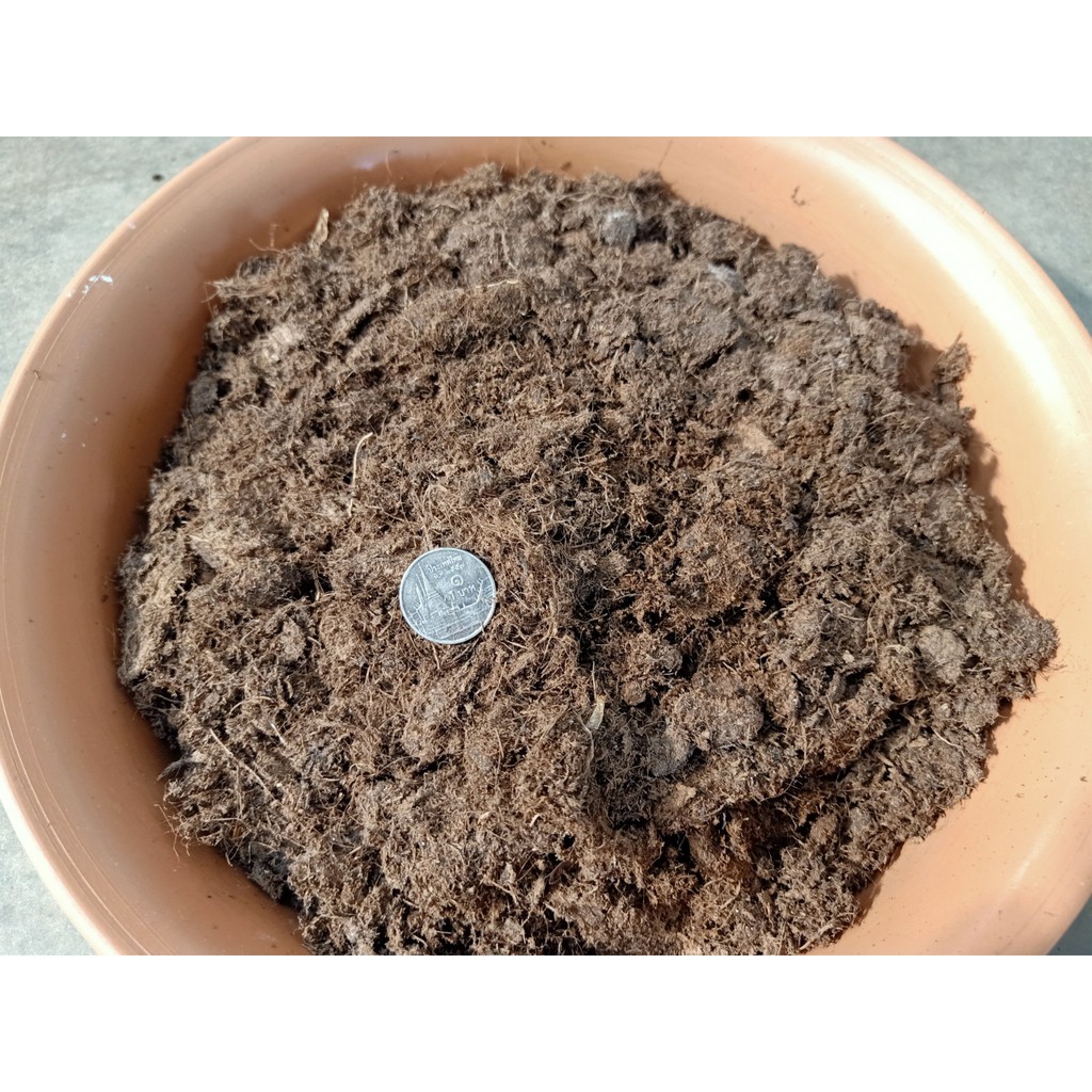 ♚พีทมอส 20 ลิตร (Greenterra Peat Moss Substrate) วัสดุเพาะปลูกพืช เพาะ ...