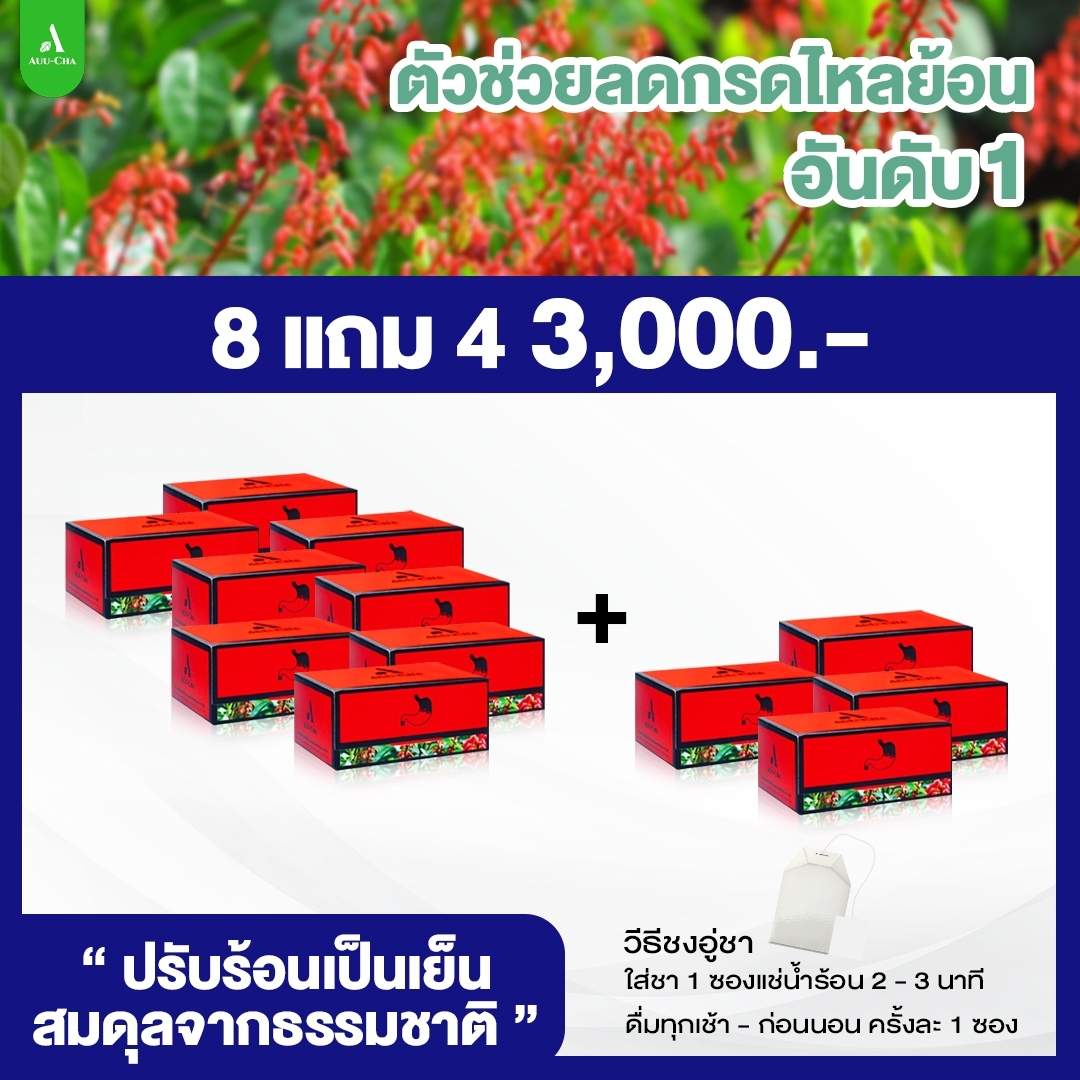 อู่ชาAuu-Cha ☘️[ชาสมุนไพร] ชาใบย่านางแดง โปร 8 แถม4 แก้กรดไหลย้อน แก้ ...