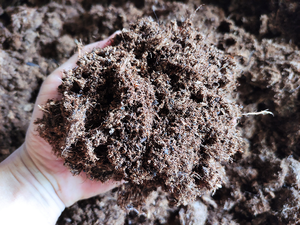 3 ลิตร พีทมอส เบสซัพเทรด (Base Substrate), TS3 (White Peat/Black Peat ...