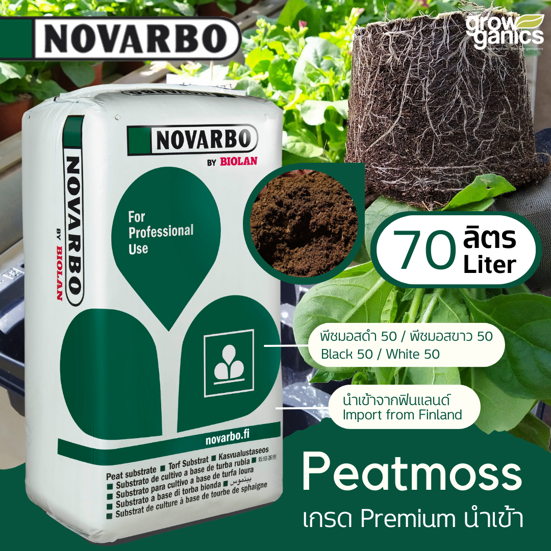 NOVARBO SEEDLING PEATMOSS B50/W50 (โนวาร์โบ) พีทมอสคุณภาพสูงสำหรับเพาะ ...