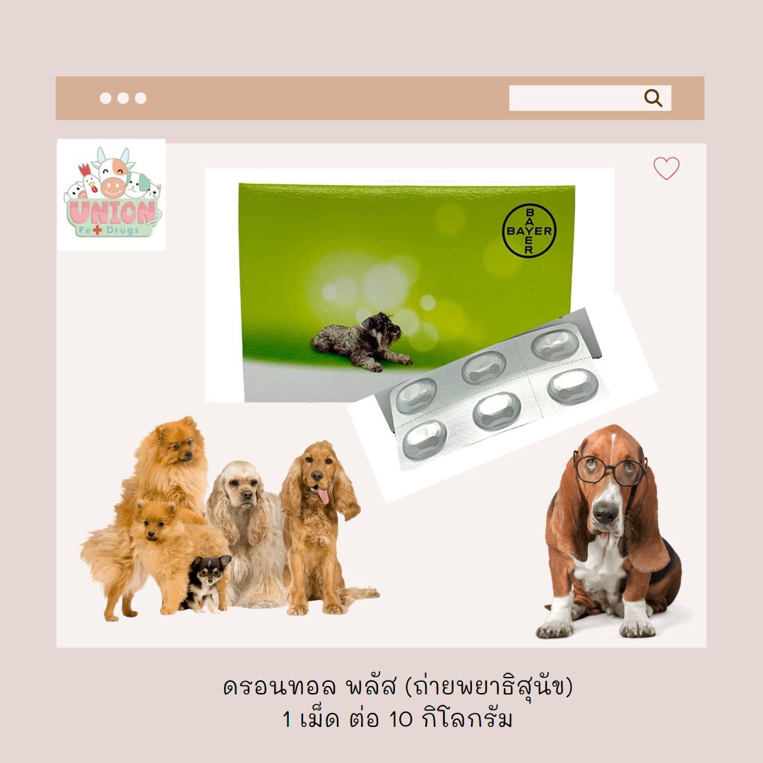 DT PLUS FOR DOG (1 pack 6 tab) สำหรับสุนัข (1 tab 10 kg) EXP.052026 ลด ...