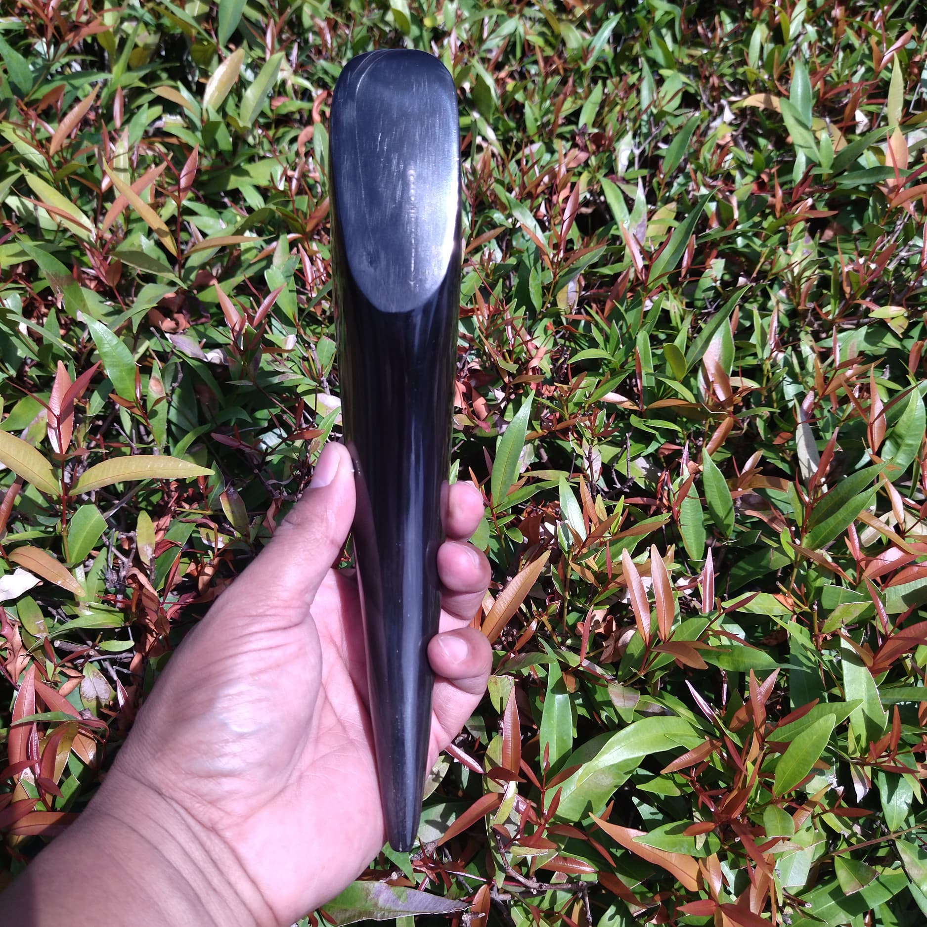 กัวซาเขาควายแท้ Guasa กัวซาเขาควายตัน กัวซาสปาหน้า อุปกรณ์กัวซา กัวซากด ...