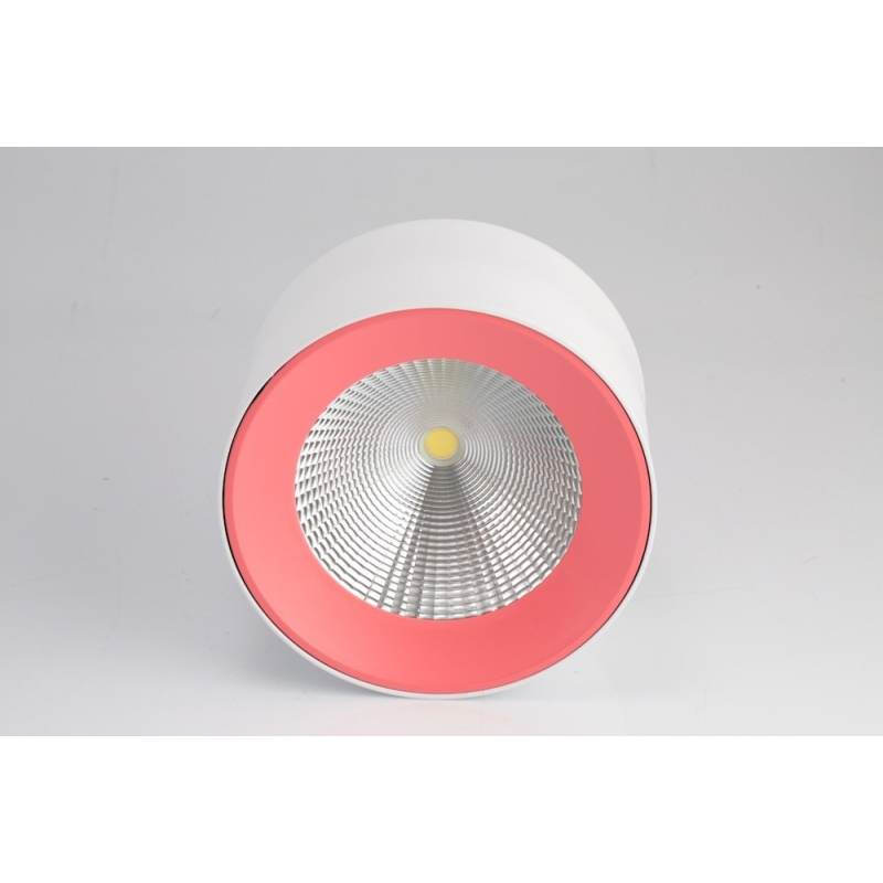 EVEโคมดาวน์ไลท์แอลอีดี ติดลอยCOBคัลเลอร์ฟูล-แดง30wเดย์ไลท์ แพ็ค2ชุด - หลอดไฟและส่วนประกอบสำหรับ ...