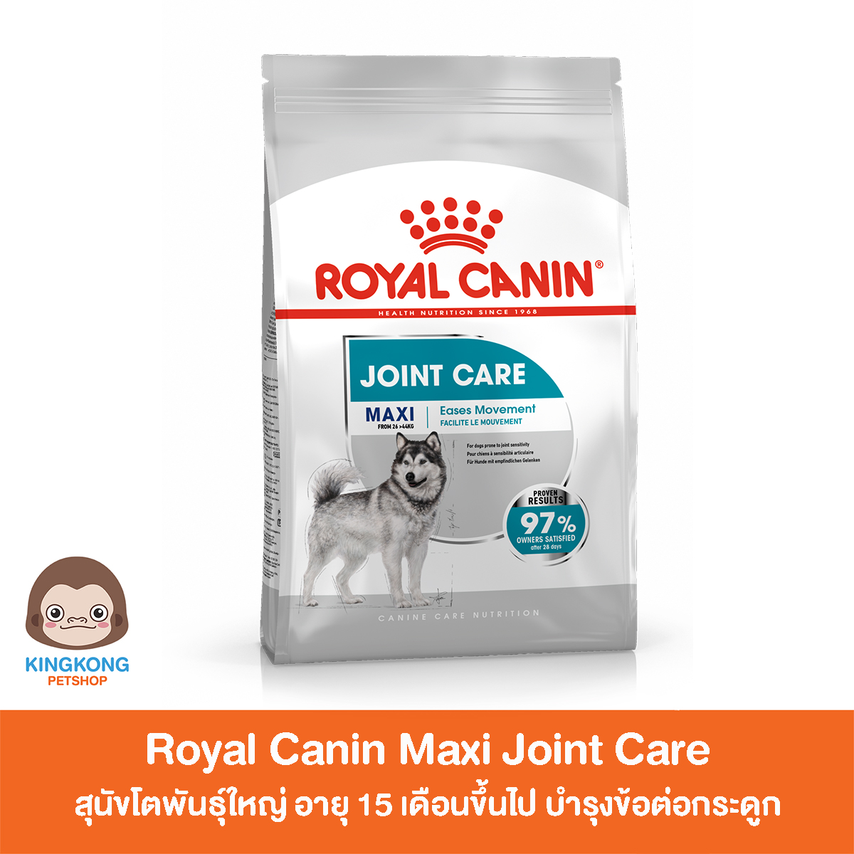Royal Canin Maxi Joint Care สุนัขโต พันธุ์ใหญ่ บำรุงข้อต่อกระดูก ...