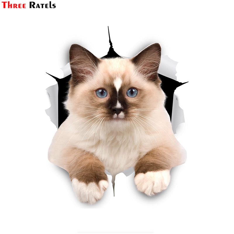 Three Ras 3D Cat Stickers Brown & White Ragdoll Cat Sticker on Wall ...