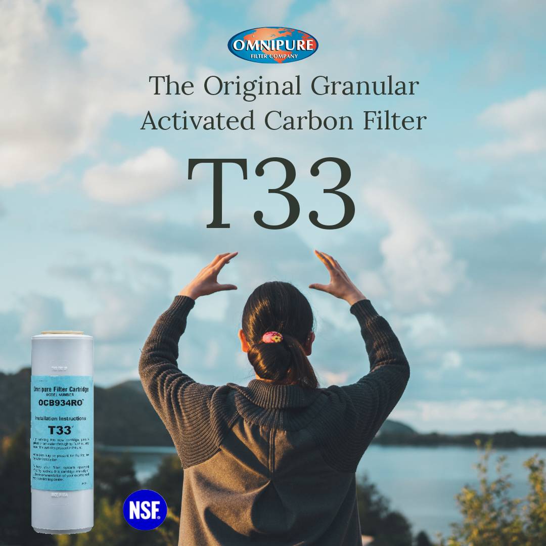 OMNIPURE USA GAC OMB934RO T33 ไส้กรองน้ำดื่ม ขนาด 2.5 x 10 Granular Activated Carbon และ ...