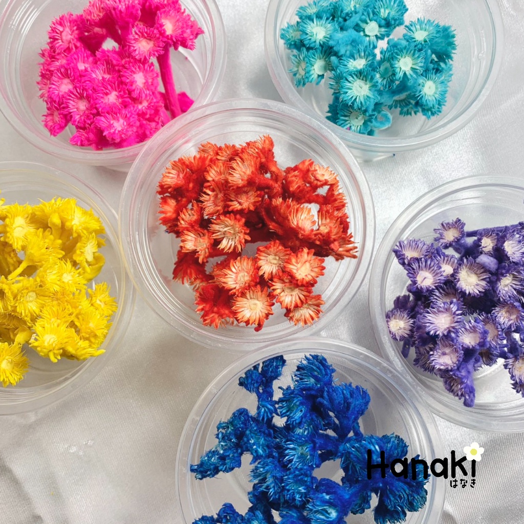 พร้อมส่งดอกชมพูทิพย์ (Momo flower) ดอกไม้ทับแห้ง ดอกไม้จริงทับแห้ง ...