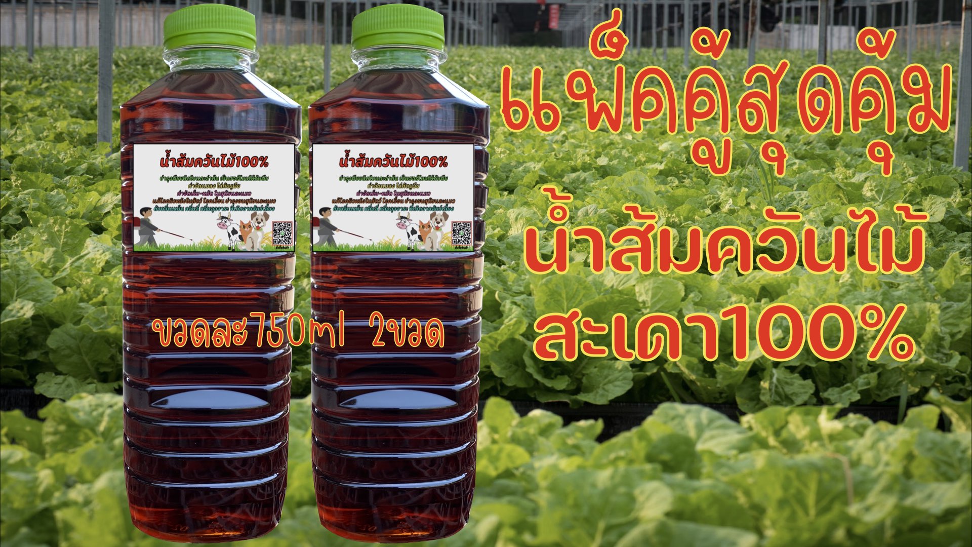 น้ำส้้มควันไม้ ไม้สะเดาแท้100% | Lazada.co.th