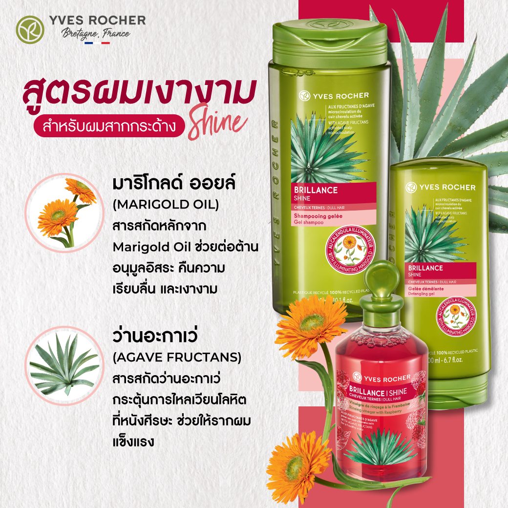 แพ็คคู่ Yves Rocher Botanical Hair Care V2 Shine Rinsing Vinegar 400ml ...