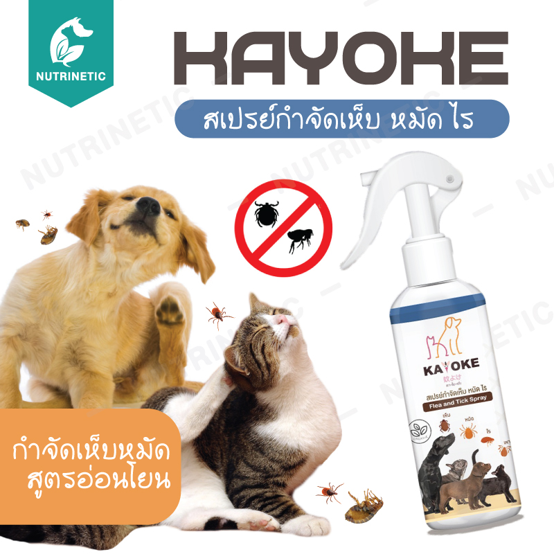YANA Spray สเปรย์กำจัดเห็บหมัด แมวและสุนัข 250 cc - Anyadapets - ThaiPick