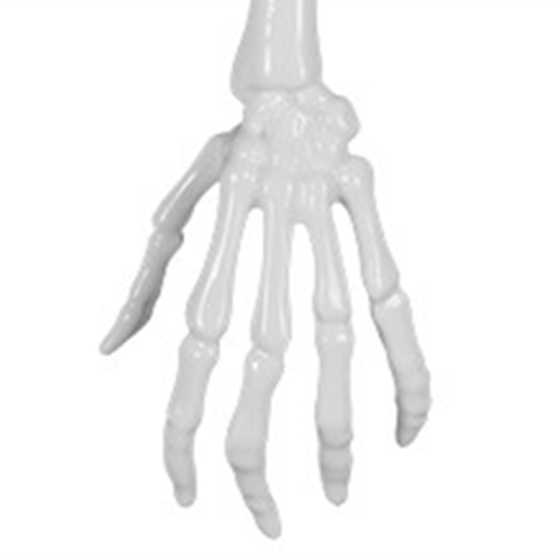 Serving Skeleton Hand Table Decoration for Halloween Party Haunted ...