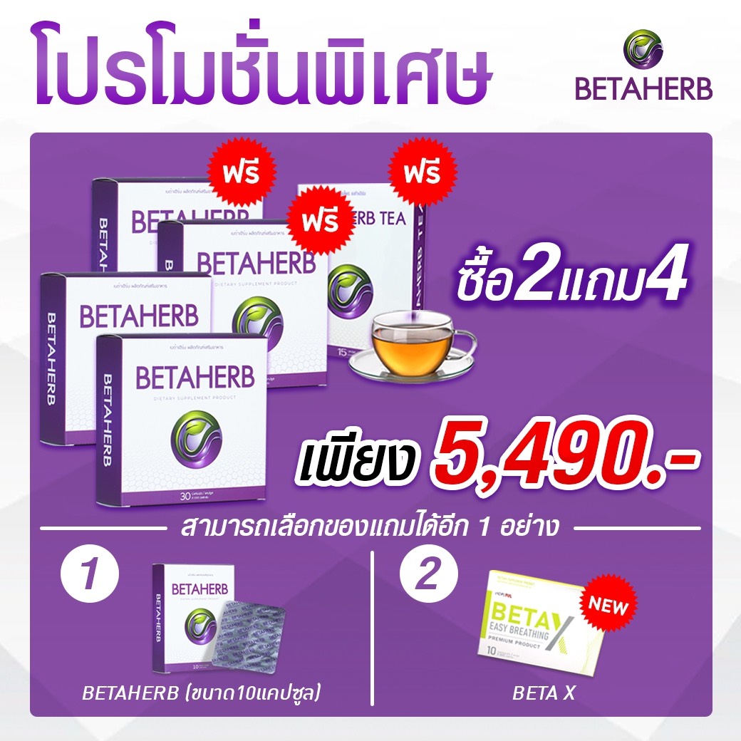 ส่งฟรี Beta Herb เบต้าเฮิร์บ น้ำตาลในเลือดสูง2แถม4 แคอเรสเตอรอล ชาปลายมือเท้าของแท้ - betathai ...