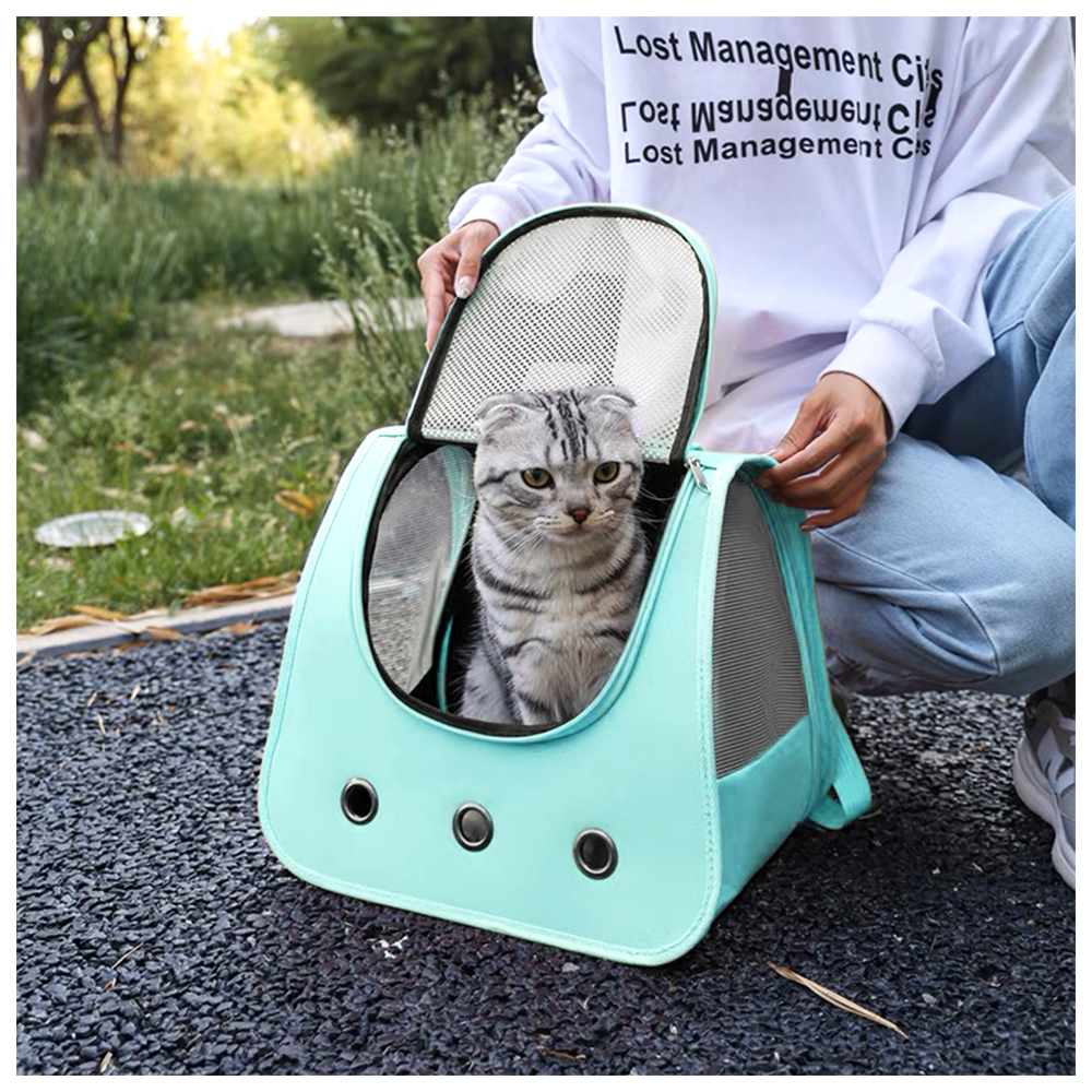 PetStern Cat Bag Cat Outsize Bag Foldable Cat BagLarge Cat Carrier Pet ...
