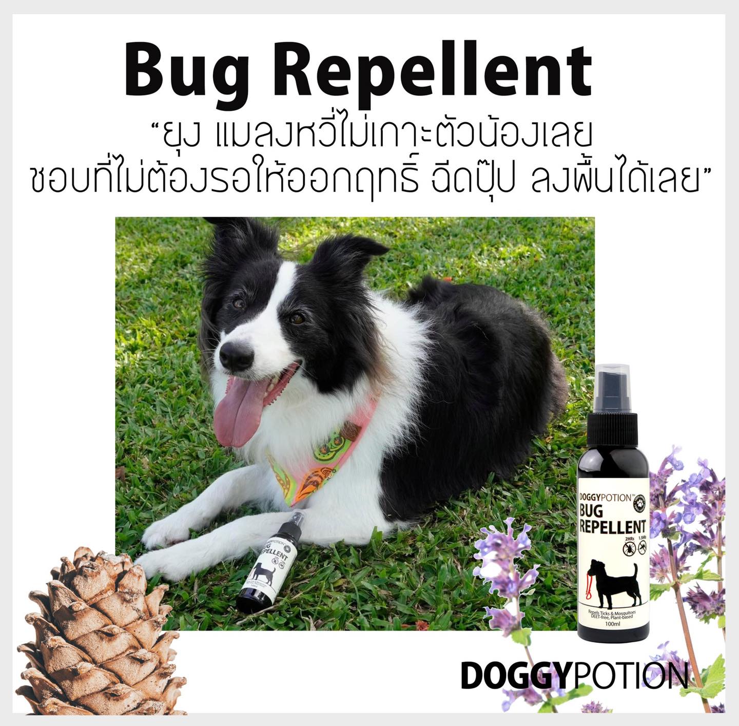 Doggy Potion Bug Repellent Spray 100ml - DOGGYPOTION - ThaiPick