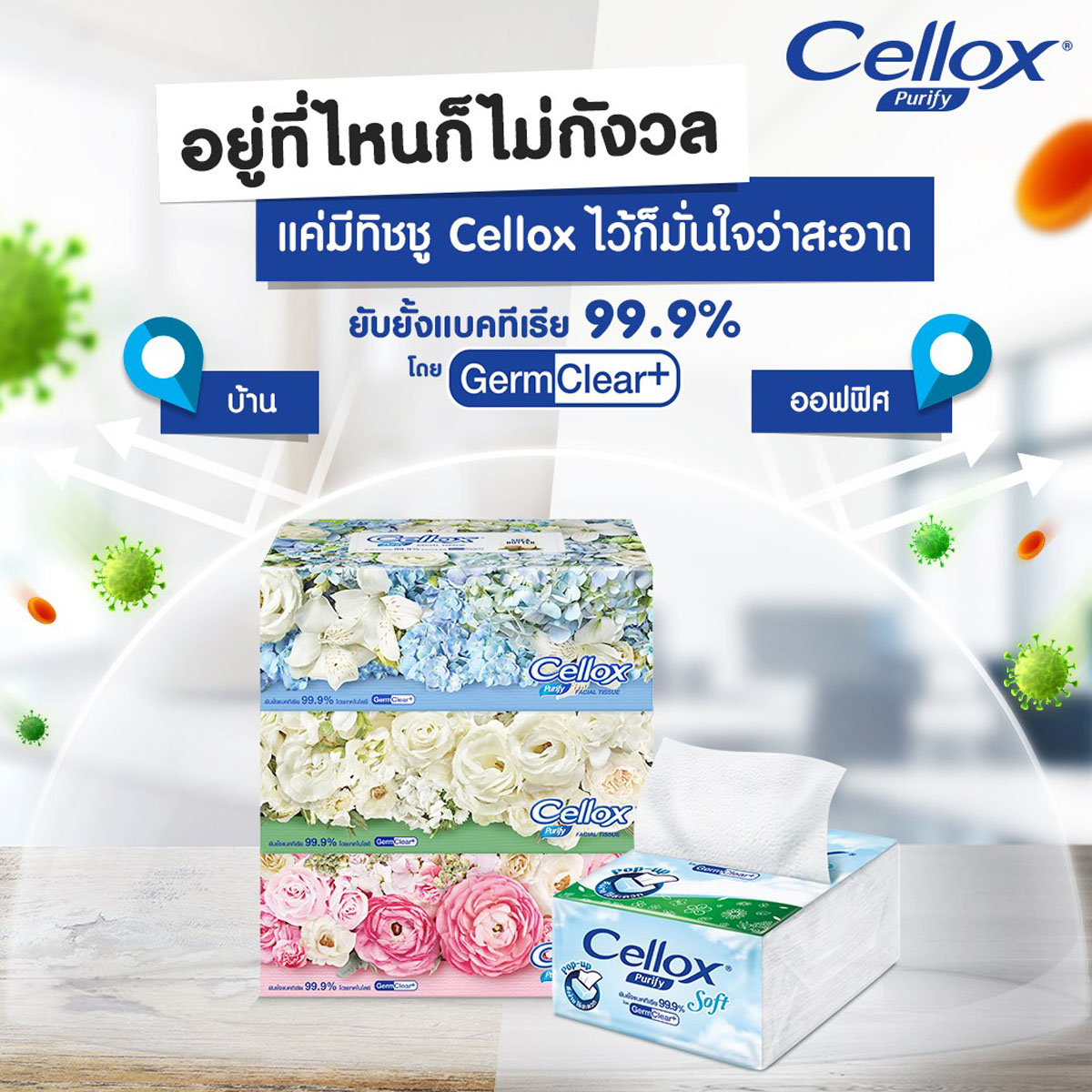 Cellox Purify Pop Up Tissue 30 packs (Free 6 packs) - Best hub - ThaiPick