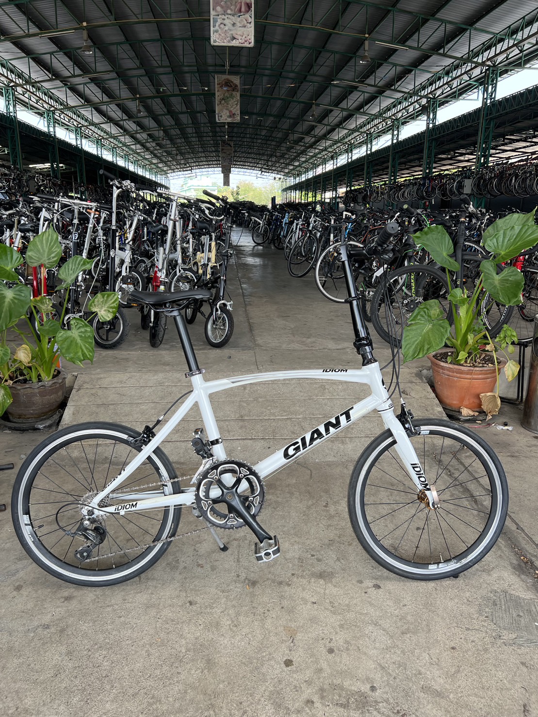 มินิทัวริ่ง GIANT IDIOM สีขาว สภาพดี ตำหนิน้อย - Jbike - ThaiPick