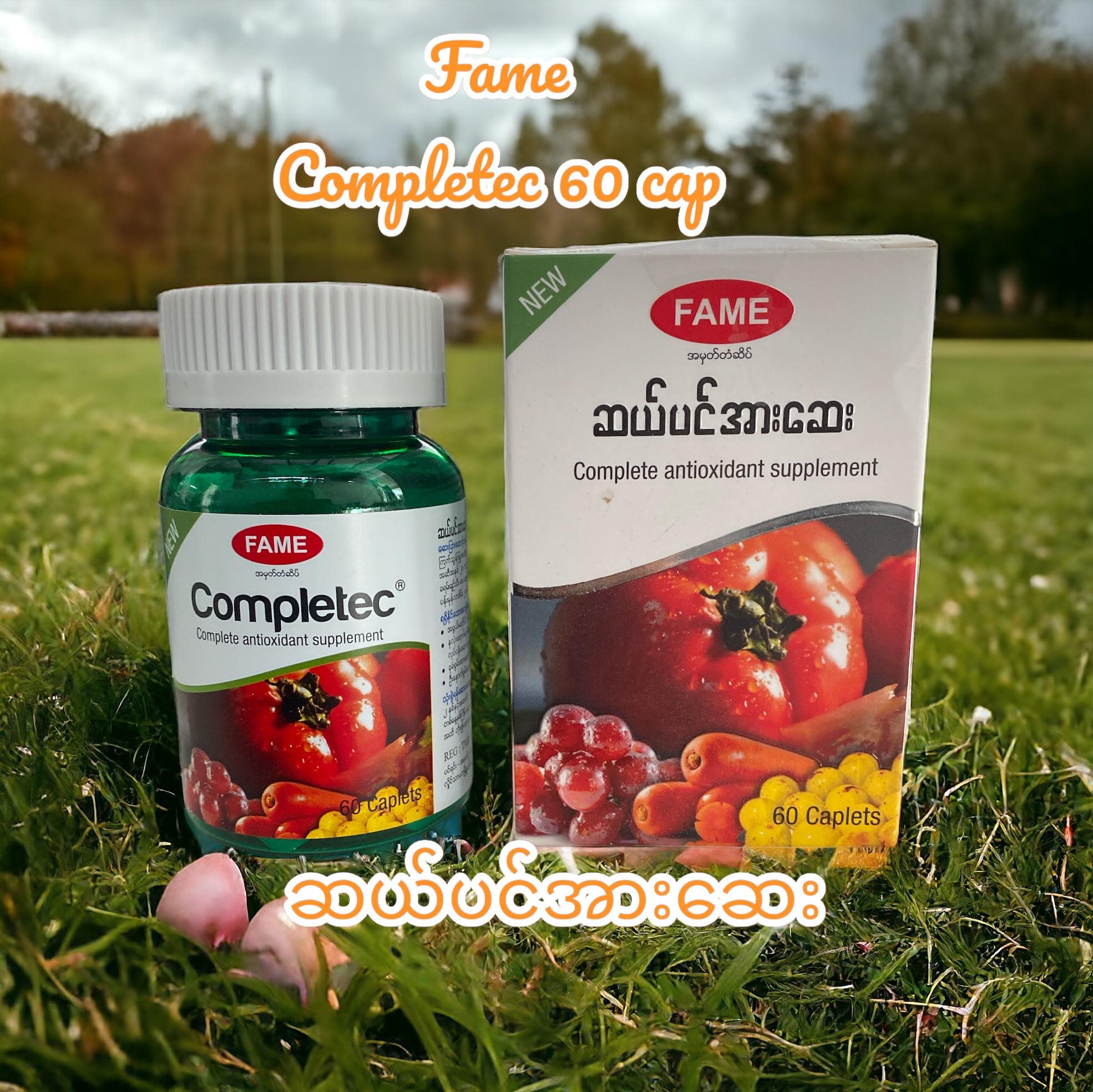 Fameဆယ်ပင်အားဆေး Complete antioxidant supplement ရရှိနိုင်သောအကျိုးက ...