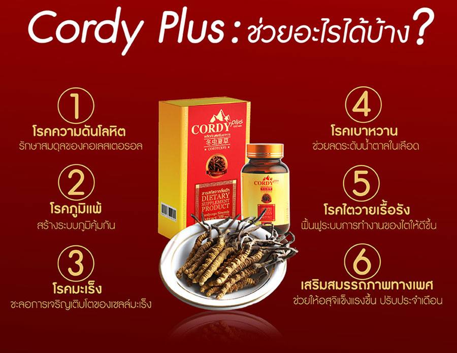 Cordy plus คอร์ดี้พลัส ถั่งเช่าทิเบต 350mg (1ขวด 30 แคปซูล) - SP cloth - ThaiPick