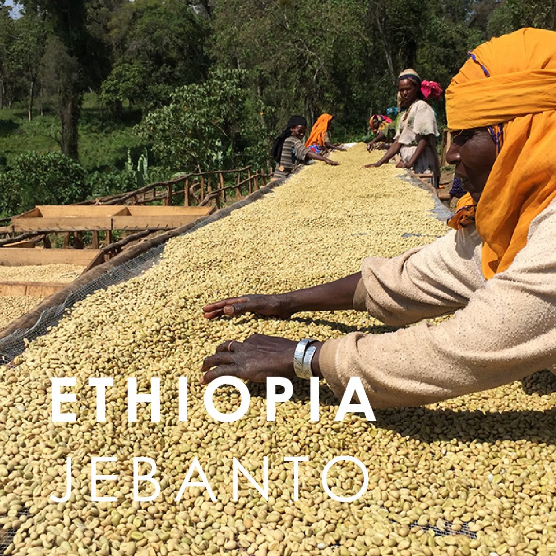 Ethiopia Jebanto (200g) - Phil Coffee ฟิลคอฟฟี่ - ThaiPick