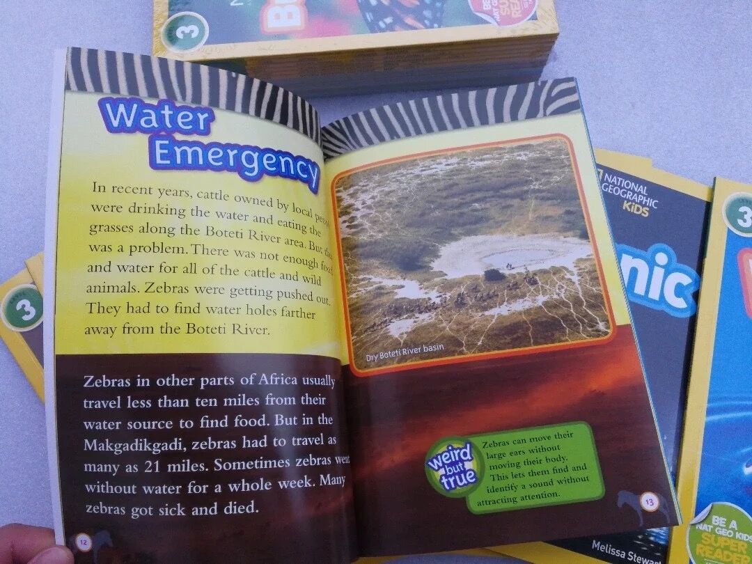 (In stock) Level 3 จำนวน 31 เล่ม หนังสือเด็กภาษาอังกฤษ สัตว์ป่า ...