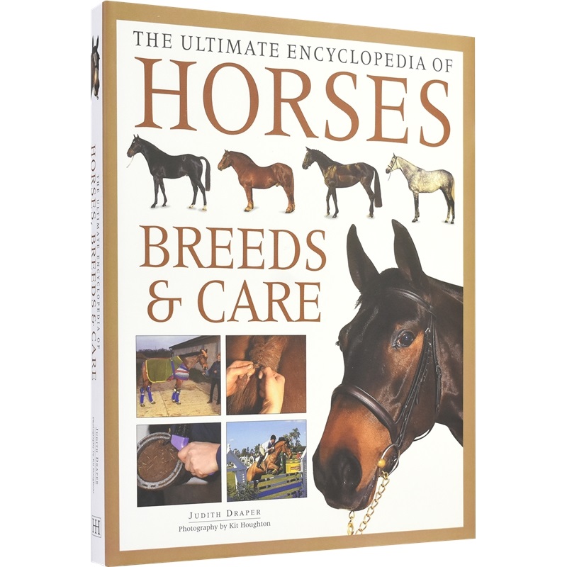 【Most Popular】1คู่ไมโครโฟนระบบไร้สาย UHF DSP เครื่องส่งสัญญาณและตัวรับ ...