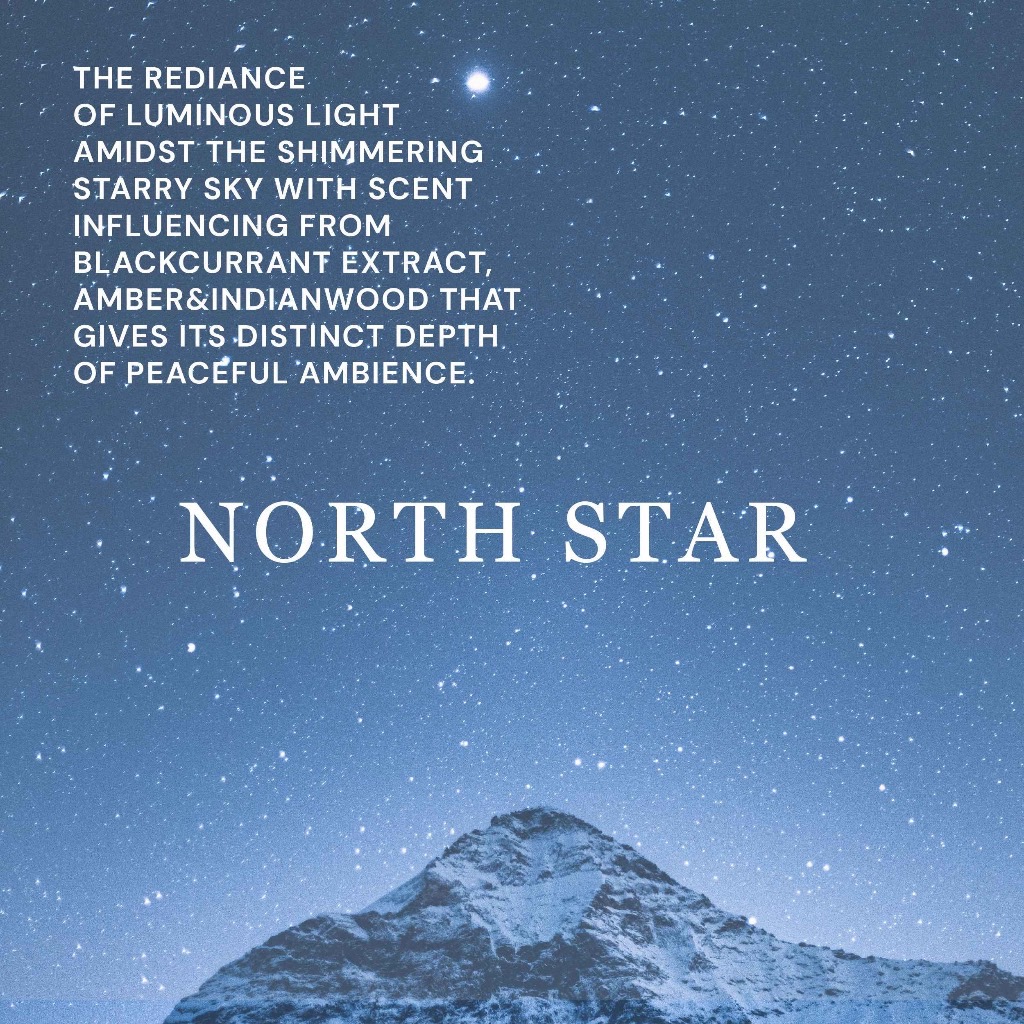 Divana Room Diffuser Phenomenon Collection กลิ่น North Star ก้านไม้หอม ...