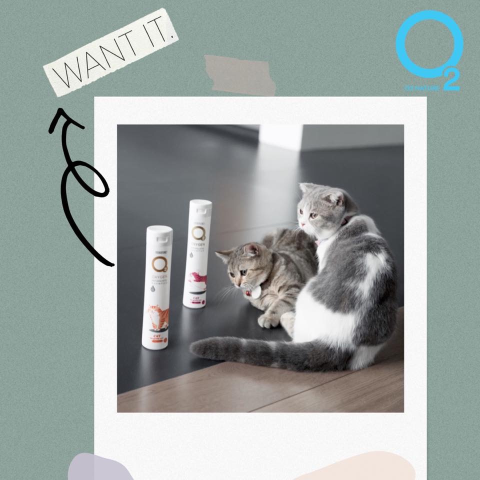 O2 Shampoo แชมพูอาบน้ำแมว Cat Mild 200 ml กำจัดยีสต์และราแมว หอมหลายวัน ...