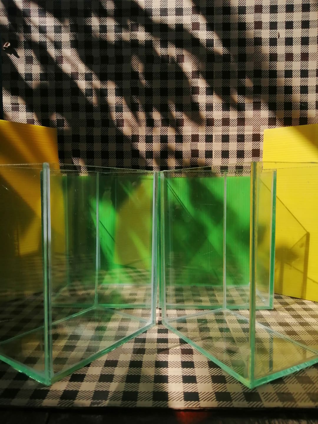 ชุด 4 ใบ โหลเหลี่ยมปลากัด ขนาด 3X5X6 นิ้ว กระจกใส - เลือกฉันสิ - ThaiPick