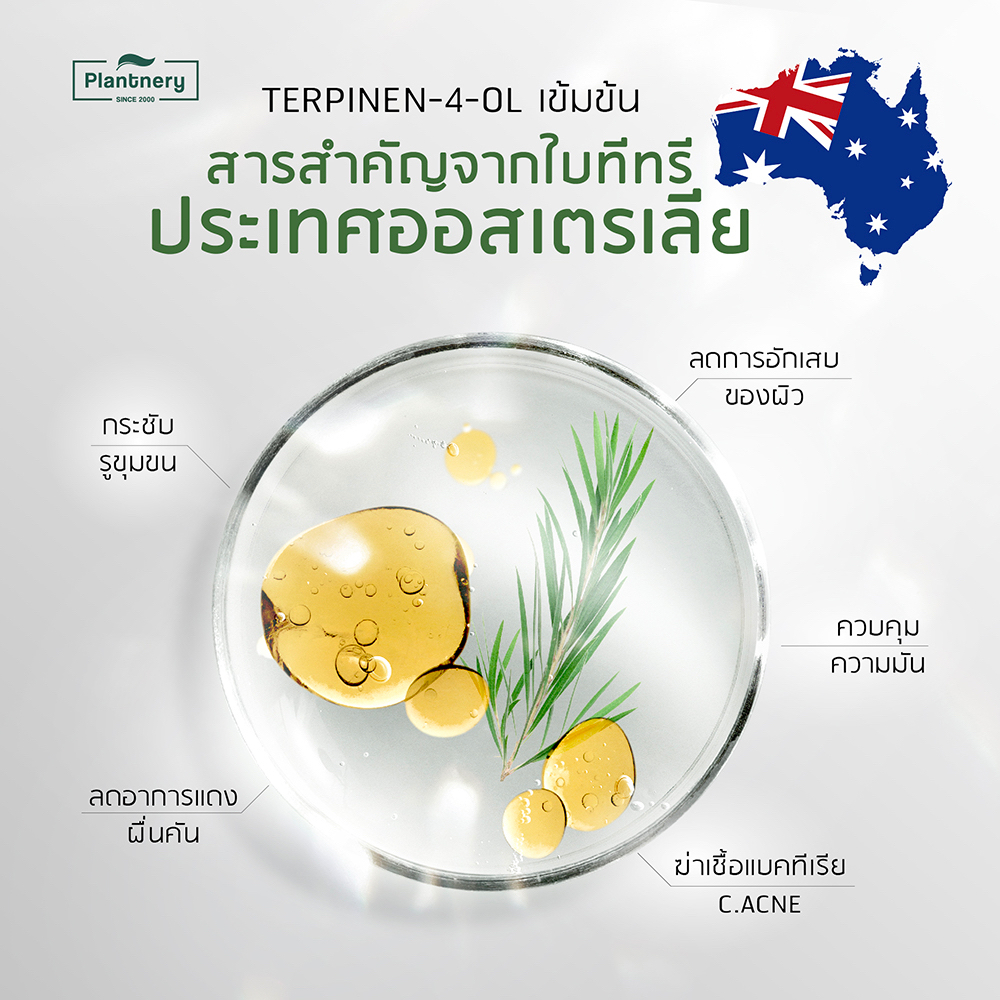 Plantnery Tea Tree Acne Pad Bakuchiol Serum BB แพลนท์เนอรี่ เซรั่ม ที ท ...