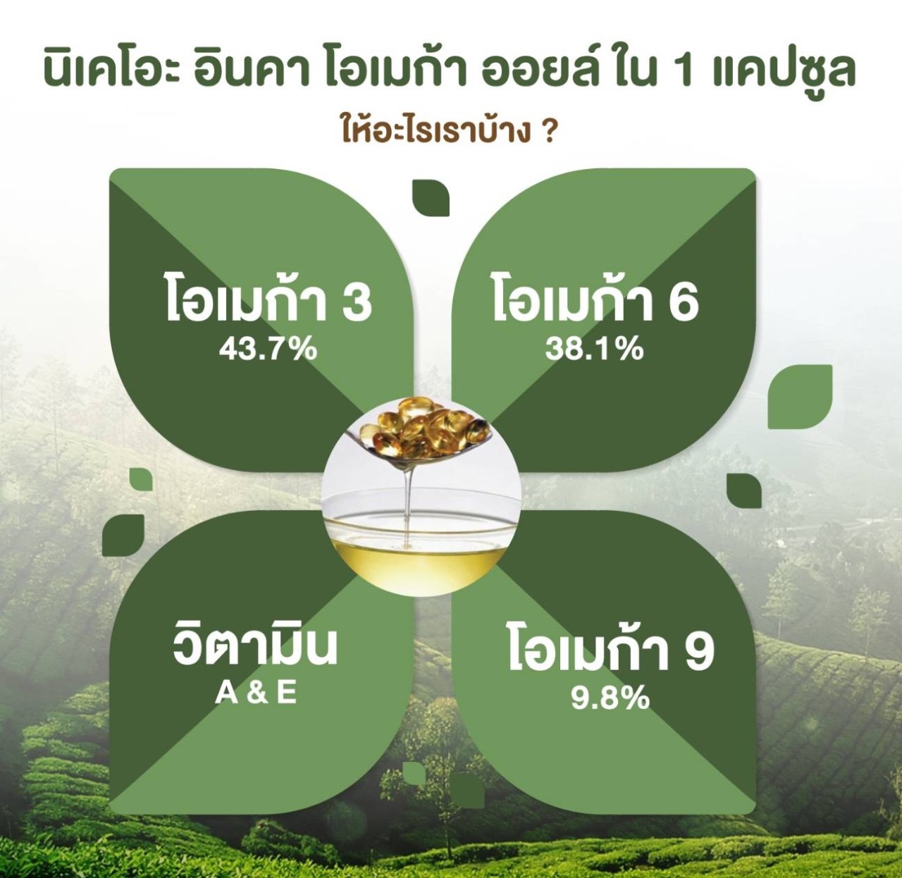 น้ำมันถั่วดาวอินคาสกัดเย็น NIKAO INCA OMEGA OIL ตรานิเคโอะ - Jwshops ...