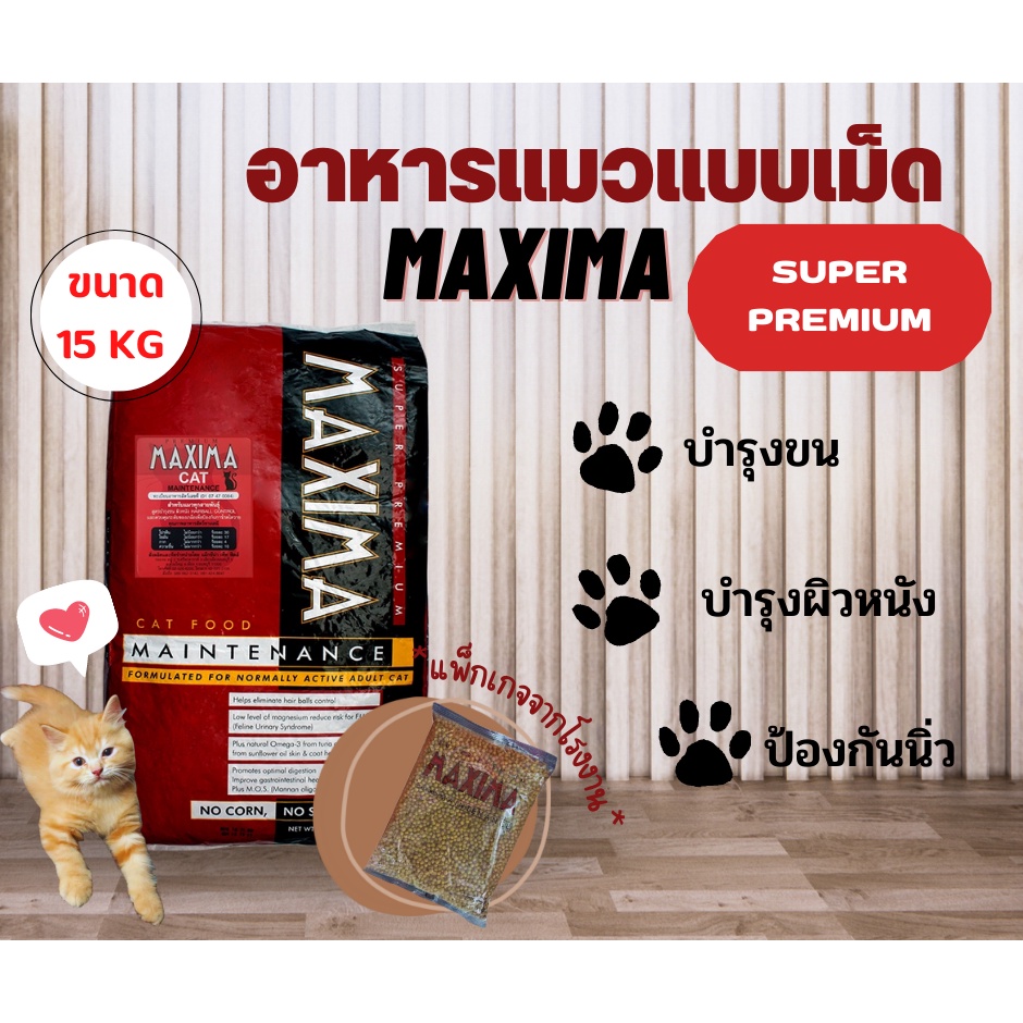 อาหารแมว maxima 15 กิโลกรัม | Lazada.co.th