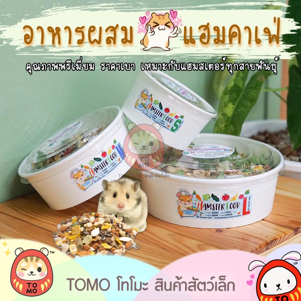 ร้านโทโมะ ???? Hamster Cafe อาหารผสมยอดฮิต ???? อาหารแฮมสเตอร์ ทานได้ ...