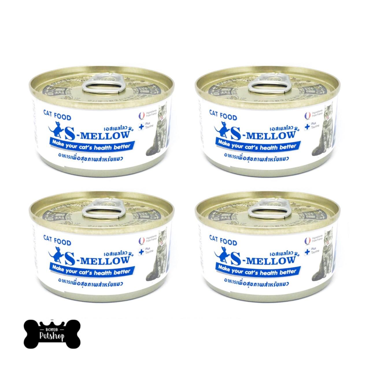 อันดับหนึ่ง 101+ ภาพ ตรวจสุขภาพแมวครั้งแรก ราคา ครบถ้วน