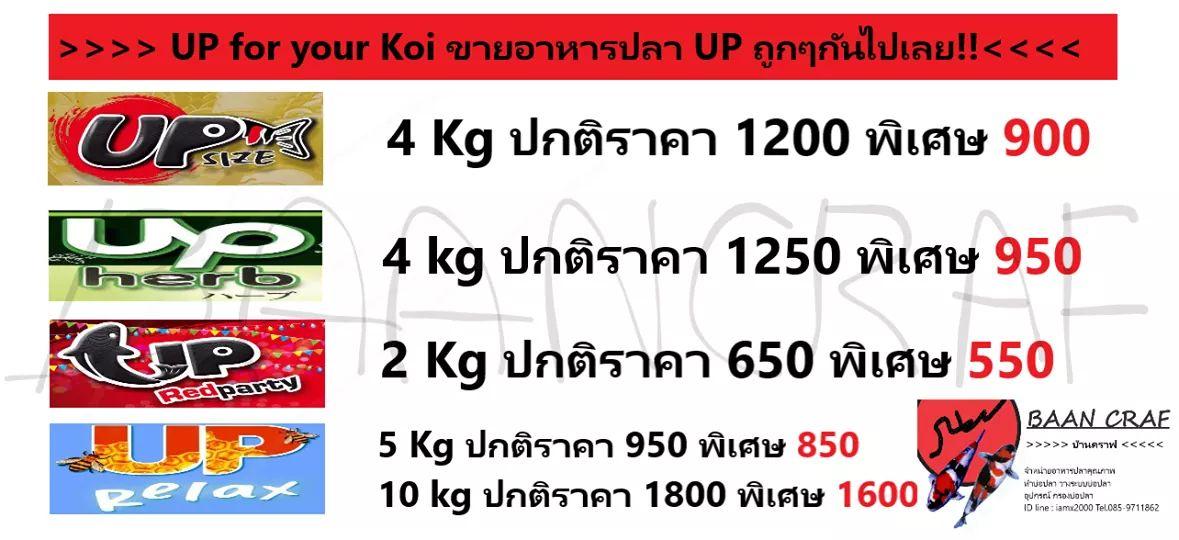 UP HERB อาหารปลา เพื่อสุขภาพ สมุนไพรไทย 4 kg size 4 mm (M) - BAAN CRAF ...