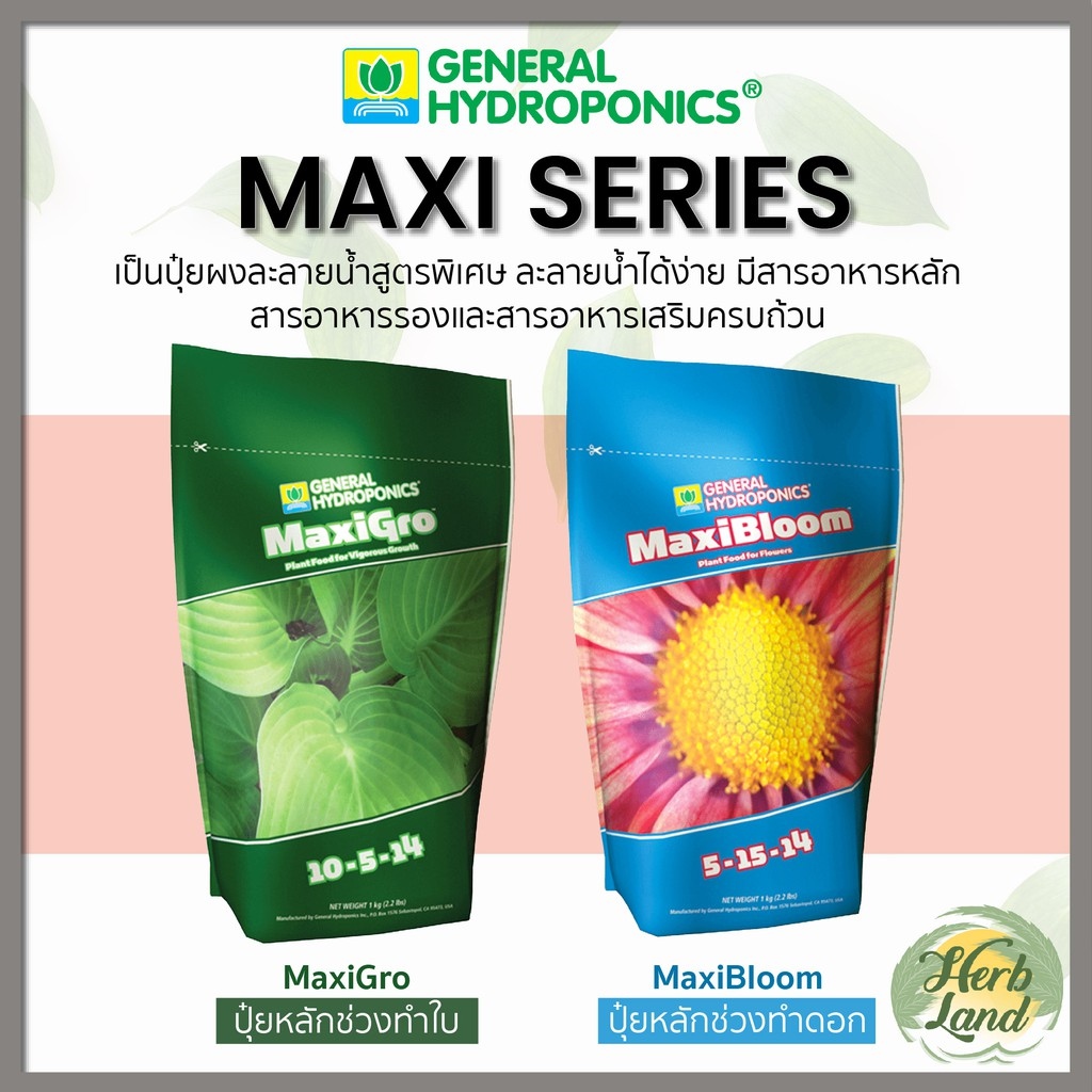 General Hydroponic - Maxi Series (MaxiGro MaxiBloom) ปุ๋ยผงสำหรับช่วงทำ ...