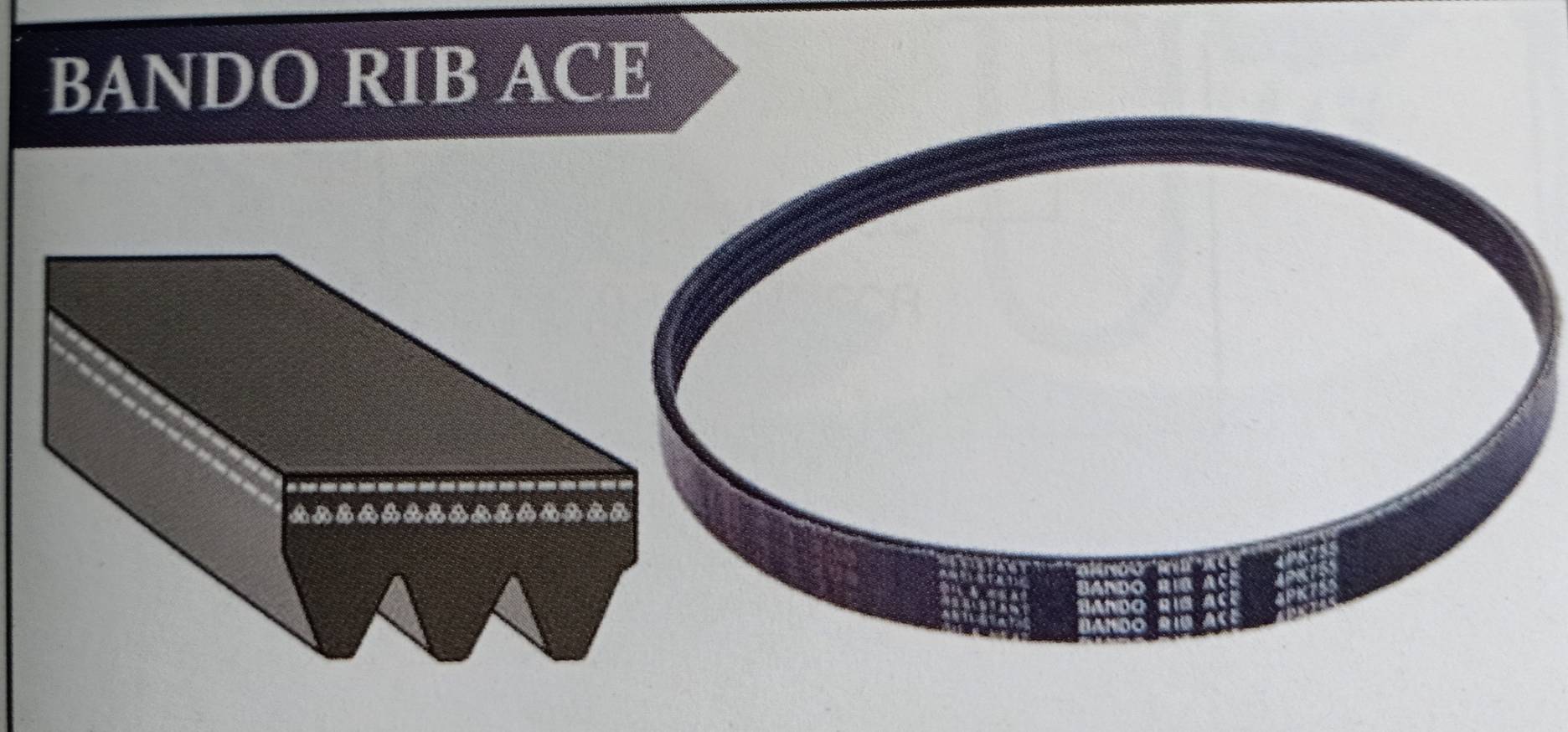 สายพาน BANDO AUTOMOTIVE BELTS รุ่น RIB ACE 5PK เบอร์ 880-975 - SW GROUP - ThaiPick