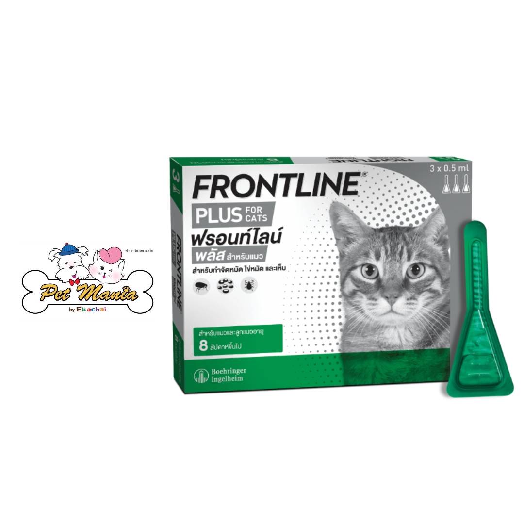 Frontline Plus Flea For Cat & Kitten อายุ8สัปดาห์ขึ้นไป | Lazada.co.th