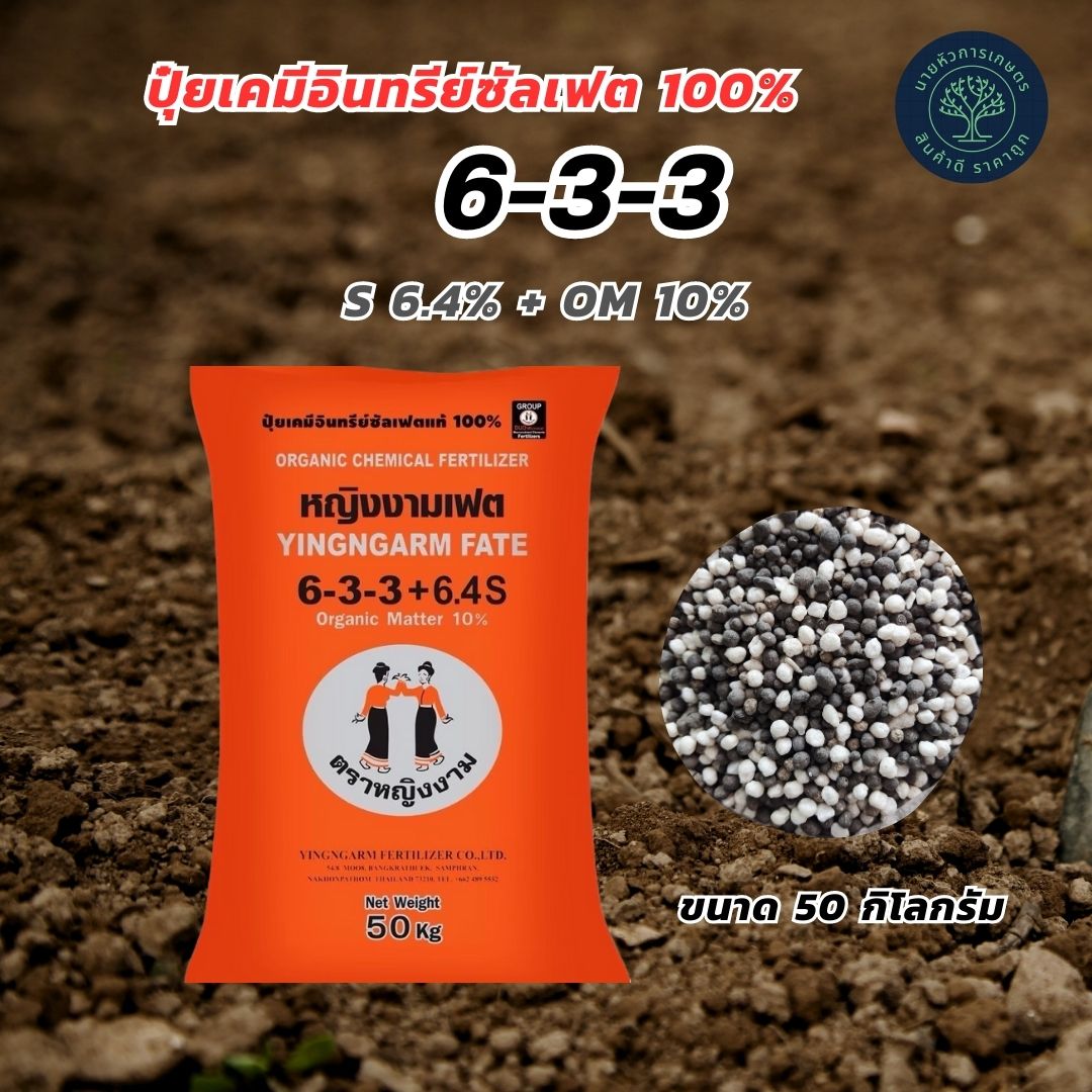 6-3-3 ตราหญิงงาม ขนาด 50 กิโลกรัม ( 1 กระสอบ ต่อ 1 ออเดอร์) ปุ๋ย ...