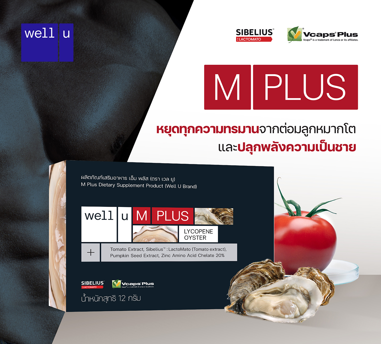 ผลิตภัณฑ์เสริมอาหารสำหรับผู้ชาย เอ็ม พลัส (ตรา เวล ยู) well u M Plus บำรุงร่างกาย แก้ปัญหา ...