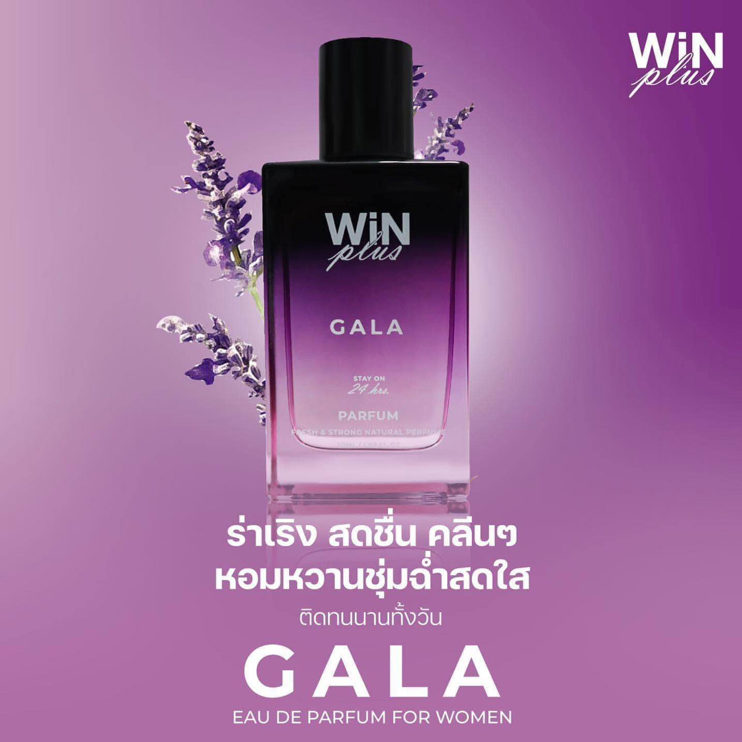 WinPlus Cala Parfum น้ำหอมวินพลัส กลิ่นกาล่า (สีม่วง) | Lazada.co.th