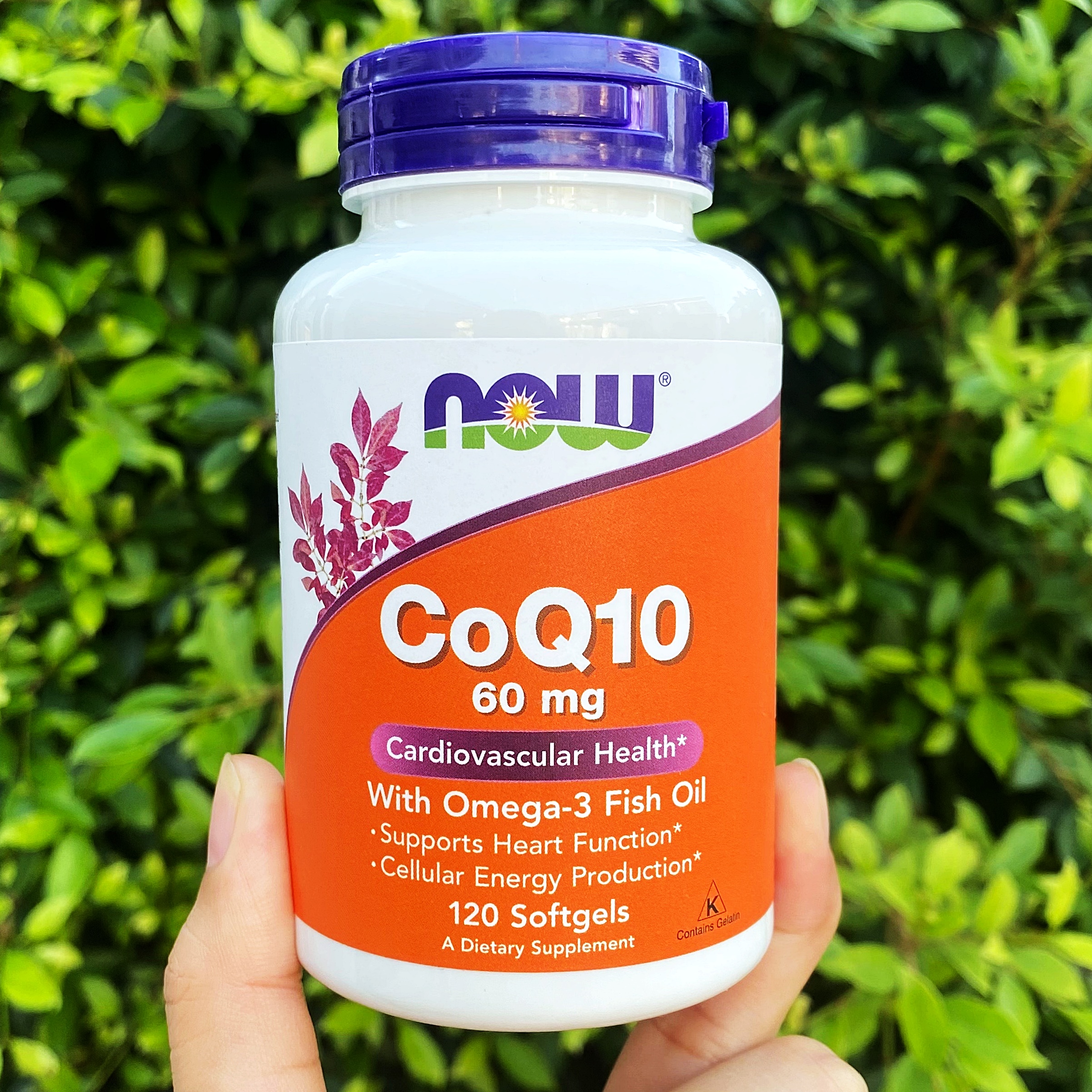 โคคิวเท็น CoQ10 with Omega-3 Fish Oil 60 mg 120 Softgels (Now Foods®) #Q10 #คิวเทน #โคเอนไซม์คิว ...