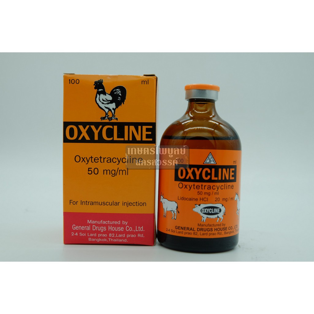 OXYCLINE อ๊อกซี่คลีน 100 cc. exp 10-04-2024 - ยาสัตว์จากฟาร์ม - ThaiPick