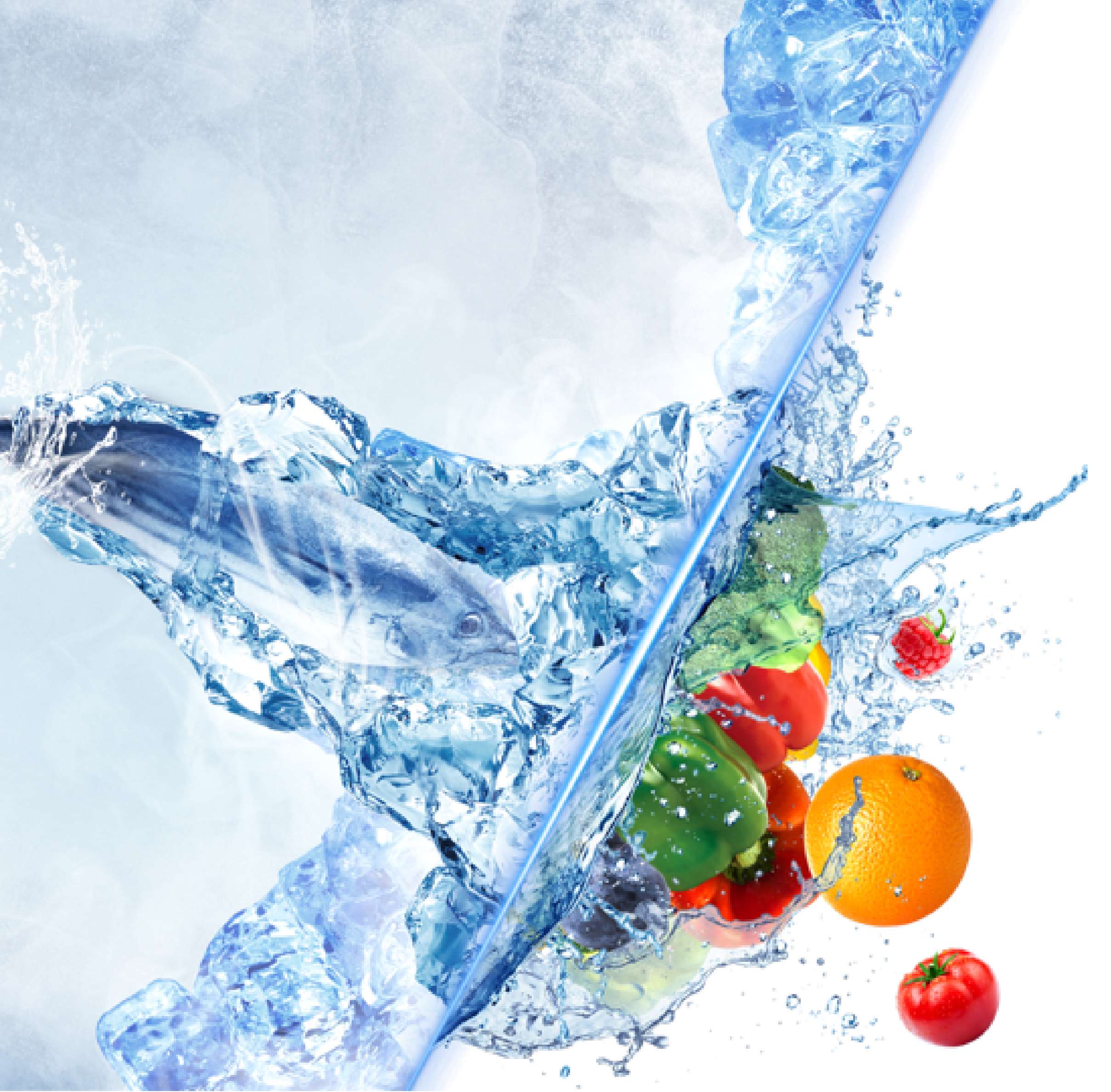 TOSHIBA ตู้แช่แข็ง (3.5Q) รุ่น GR-RC130CE-DMT(01) - เอ็มแอนด์เอ็มอีเลคทริค - ThaiPick