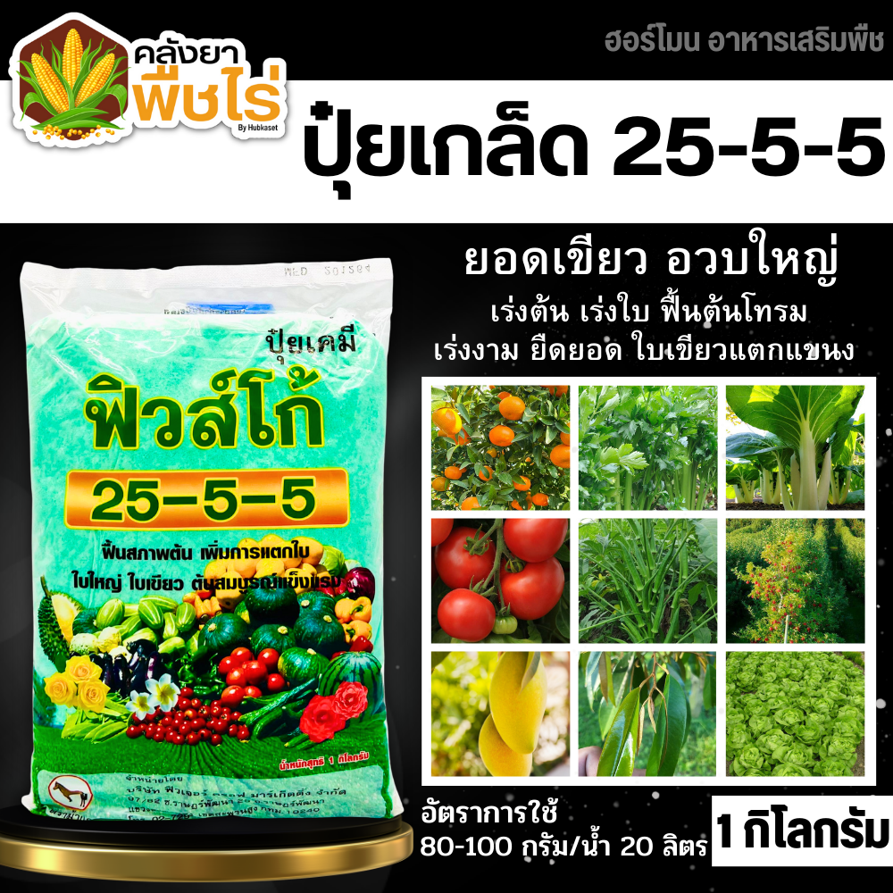 🌽 25-5-5 (ปุ๋ยเกล็ดฟิวส์โก้) 1กิโลกรัม เร่งงาม ยืดยอด แตกแขนง เปิดตายอด เร่งต้น เร่งใบ | Lazada ...
