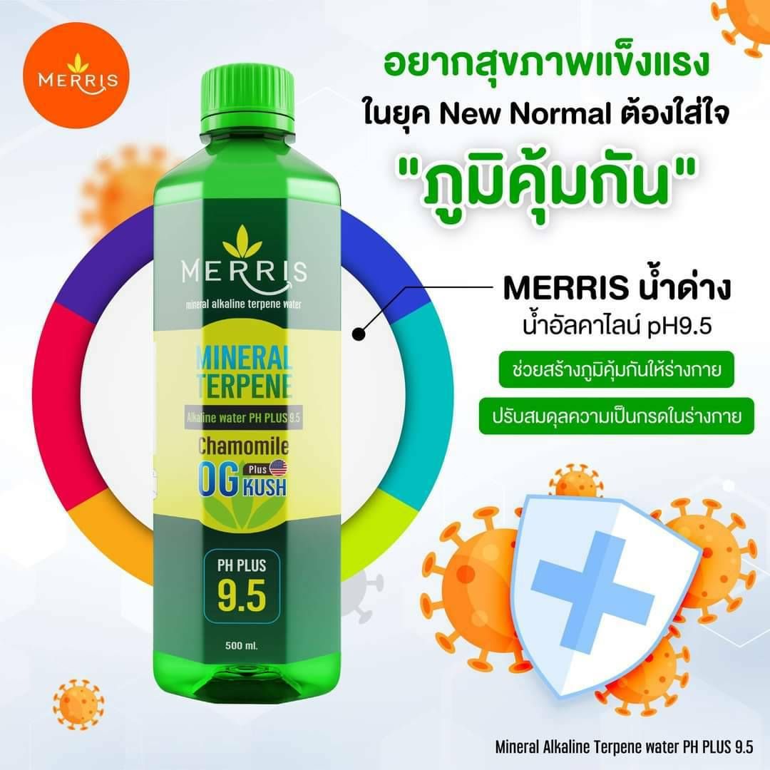 Merris เมอริส เครื่องดื่มน้ำอัลคาไลน์ Alkaline น้ำด่าง pH9.5 1ลัง มี 24 ...